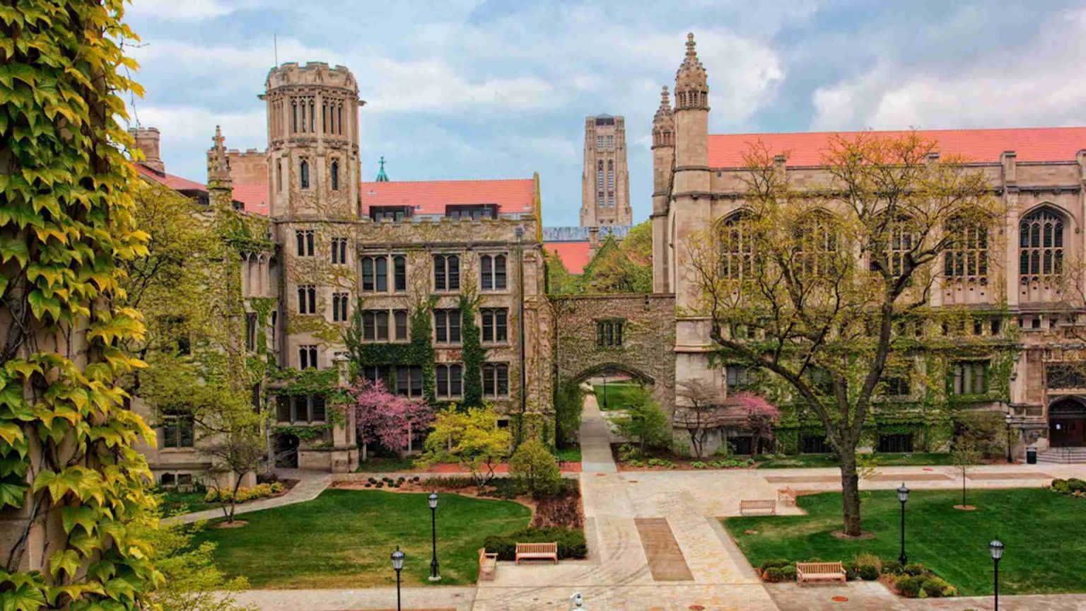 How to Get into UChicago | IvyWise